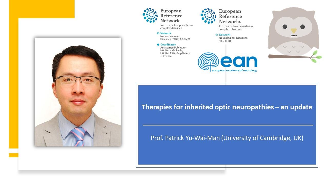 Therapies for inherited optic neuropathies–an update - European ...