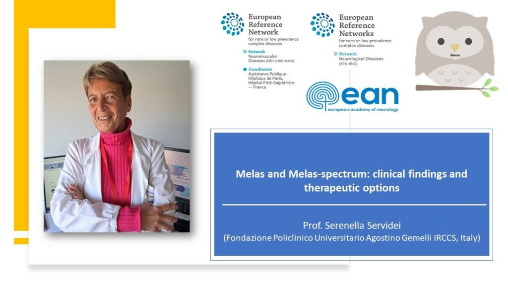 MELAS and MELAS-spectrum: clinical findings and therapeutic options ...