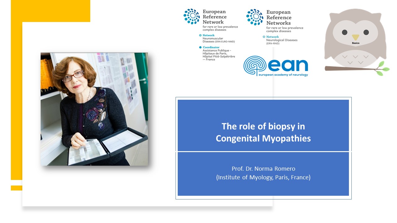 The role of biopsy in Congenital Myopathies - European Reference Network