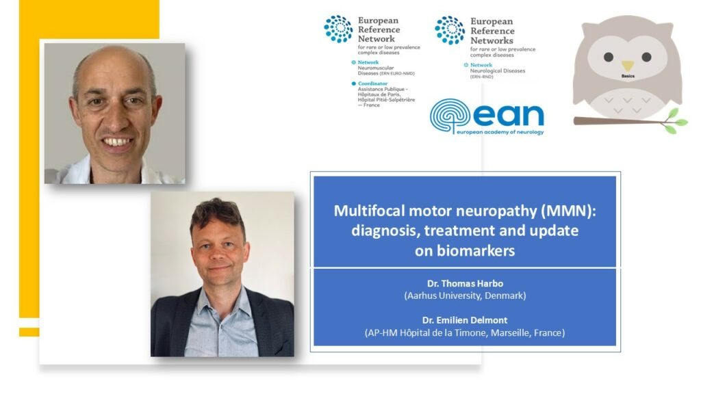 Multifocal motor neuropathy (MMN): diagnosis, treatment and update on ...
